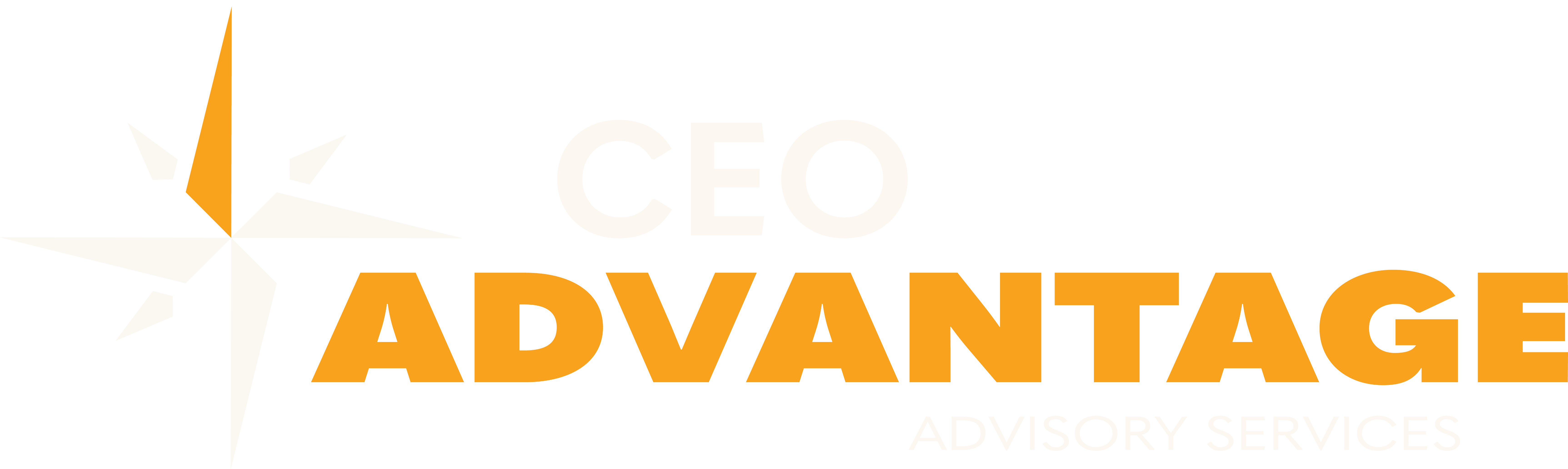 CEO Advantage